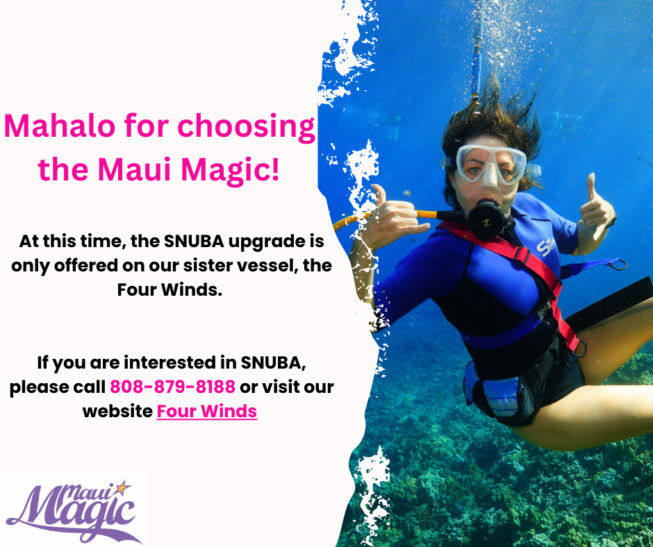 SNUBA - Maui Magic Snorkel - Molokini Snorkel Boat - Whale Watching